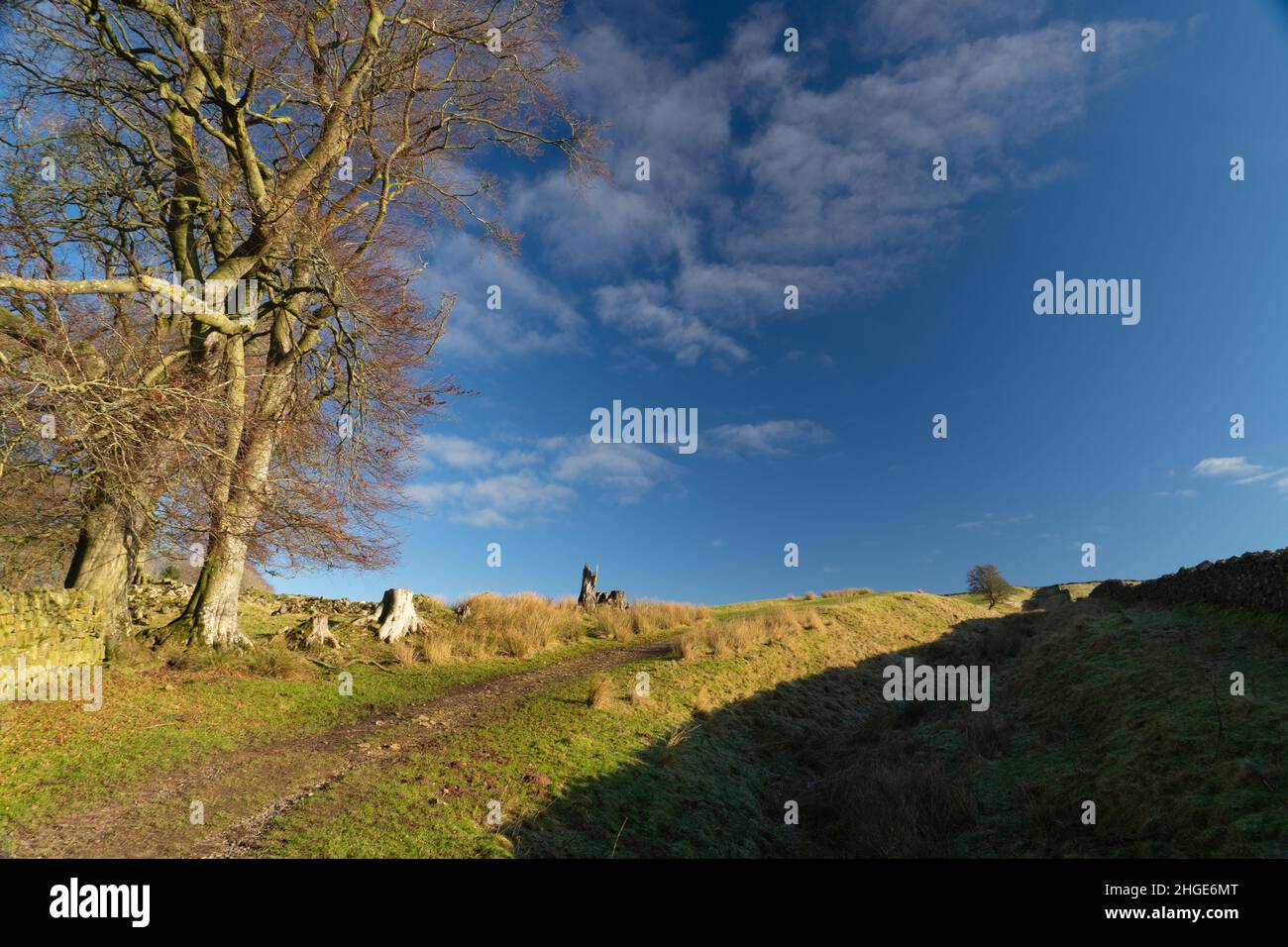 The Vallum next to the Hadrian's Wall trail in Northumberland, UK Stock ...