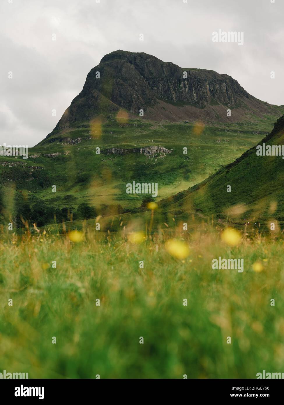 Talisker farmland hi-res stock photography and images - Alamy