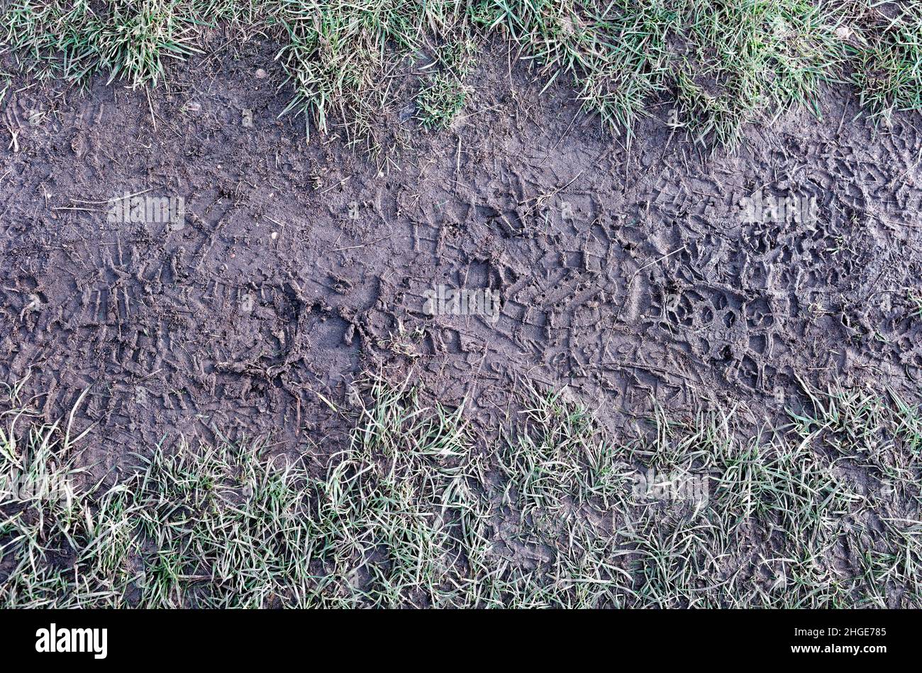 Boot prints woods hi-res stock photography and images - Alamy