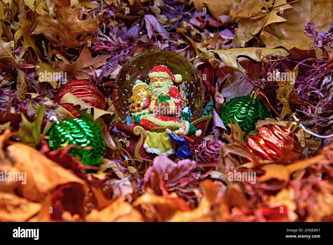 Close up of a Santa Claus snow globe. In fall leaves and a few ...