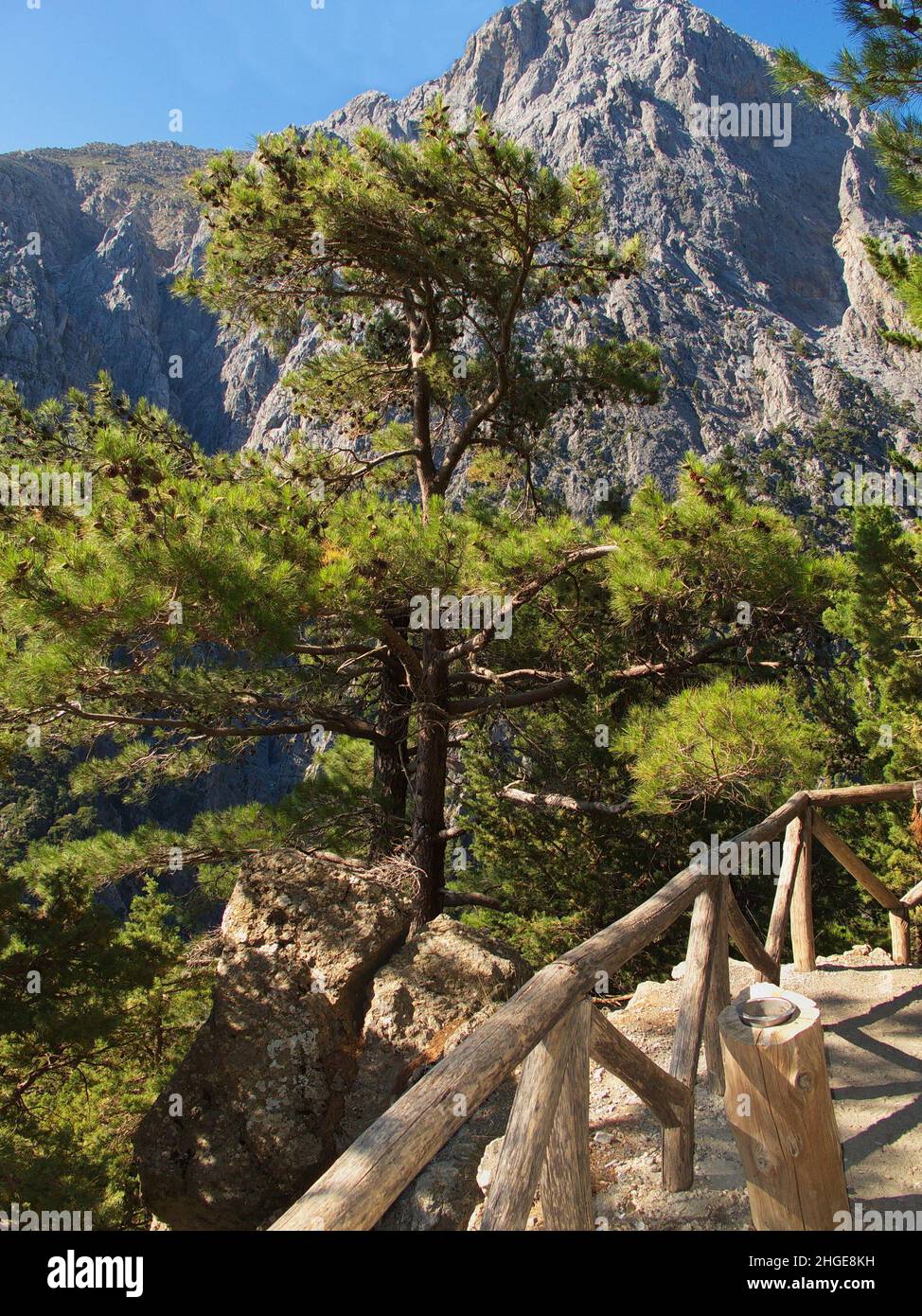 Hiking track in Samaria Gorge on Crete in Greece,Europe Stock Photo - Alamy