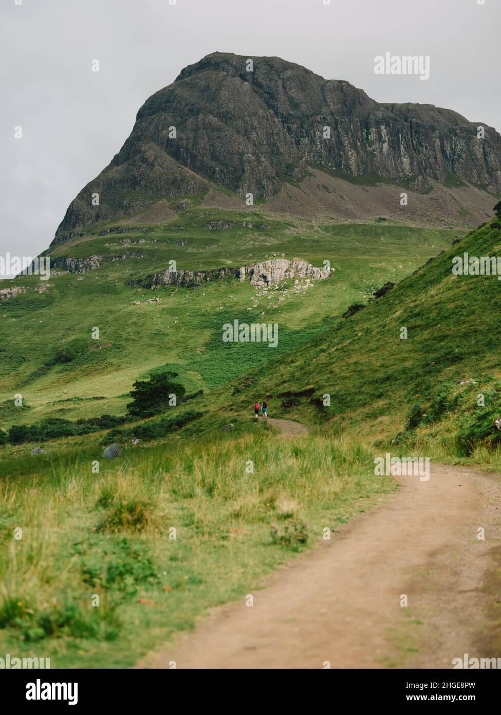 Walking the farm path back from Talisker Bay beach at Talisker on Skye ...
