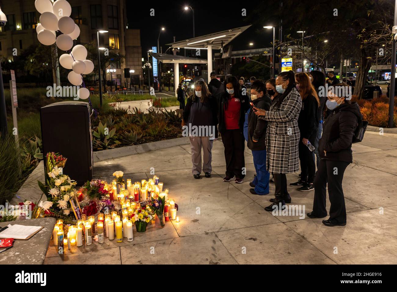 Sandra shells hi-res stock photography and images - Alamy