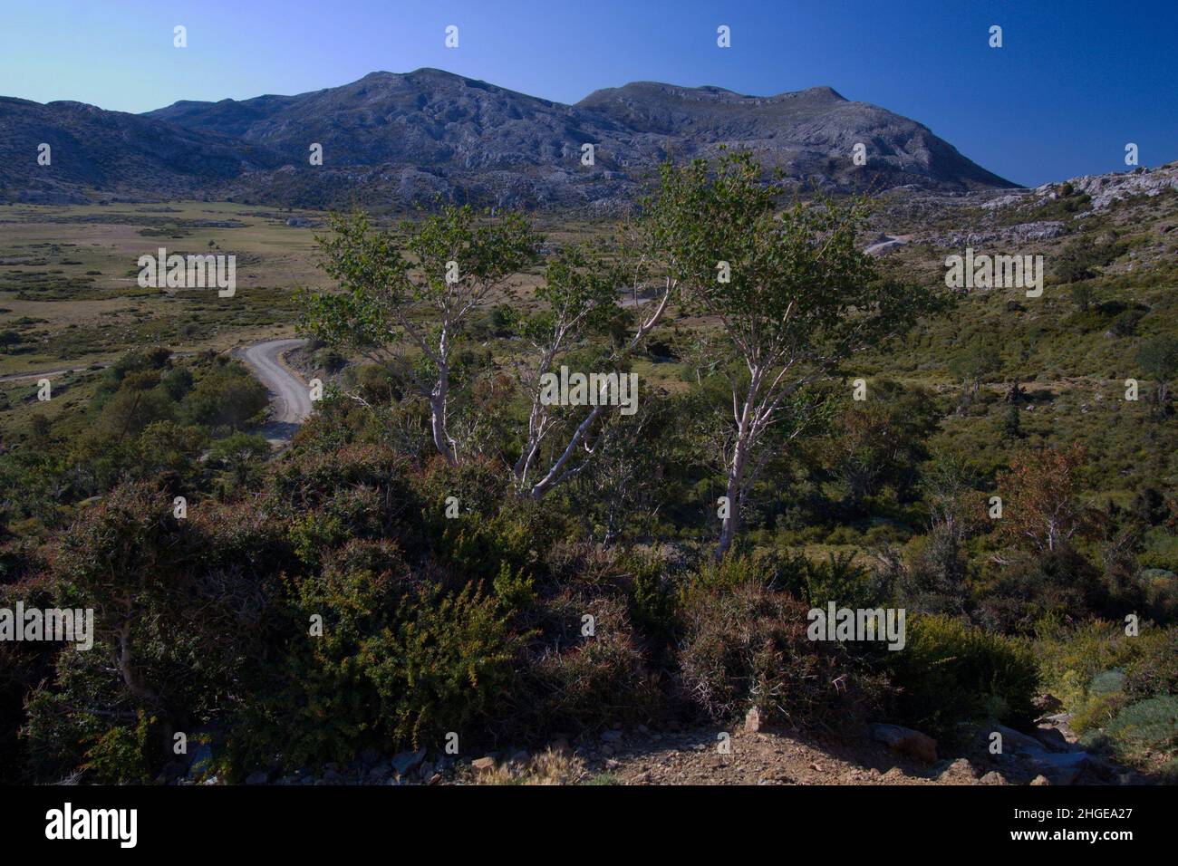 Landscape at Psiloritis,the highest mountain in Crete in Greece,Europe ...