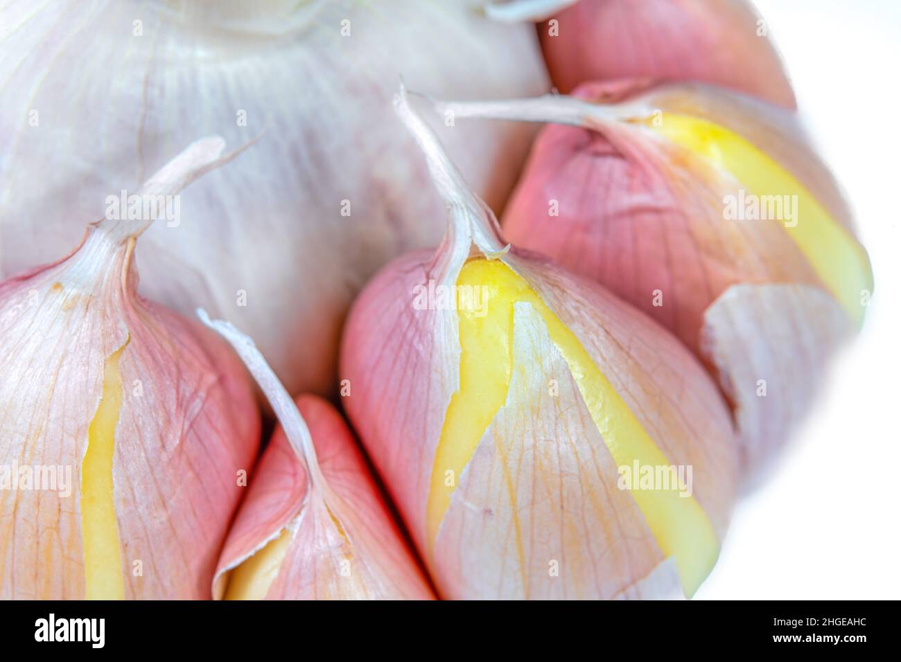 Macro of a garlic bulb in white background Stock Photo - Alamy