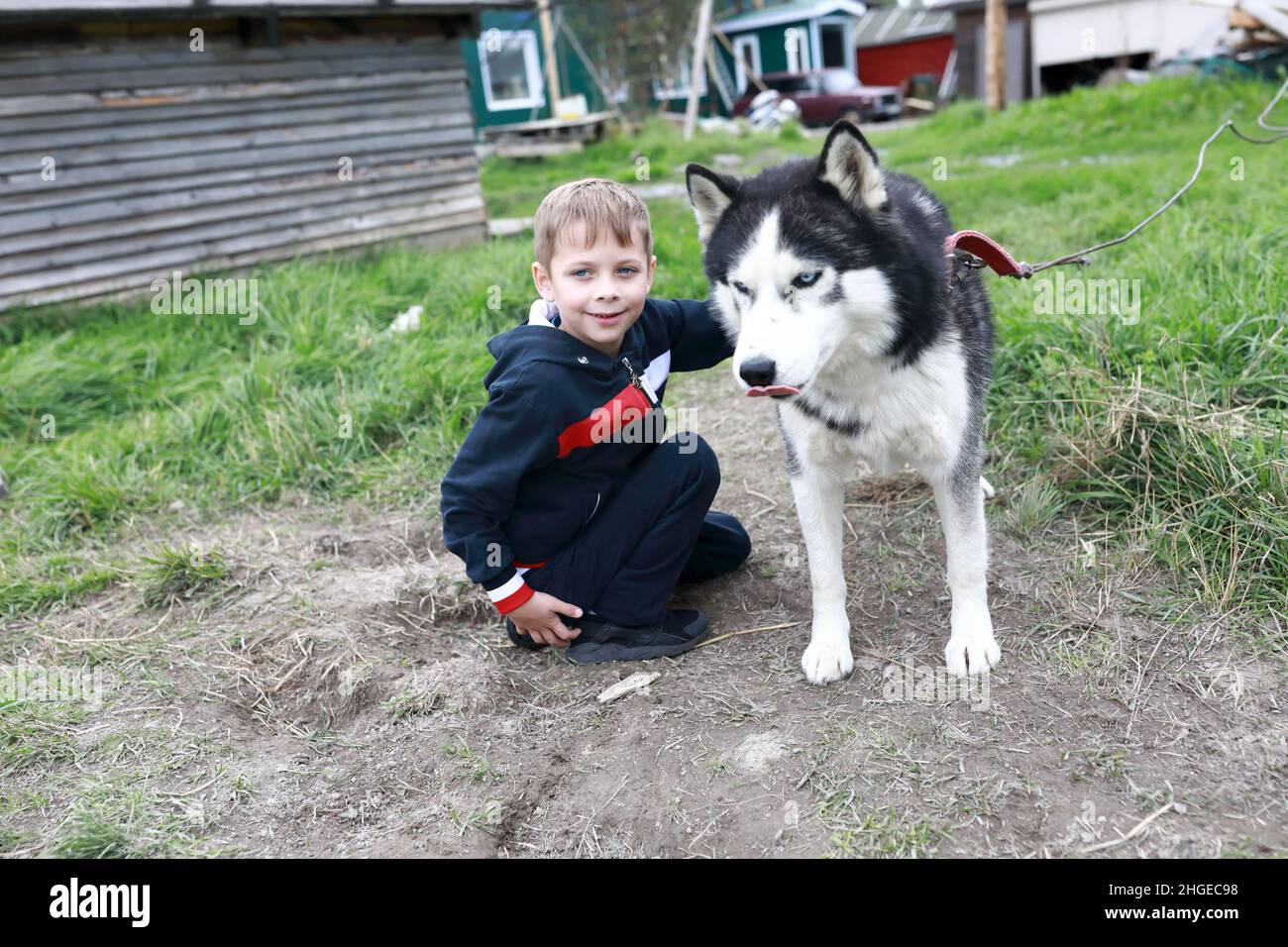 Boy with husky dog in summer, Karelia Stock Photo - Alamy