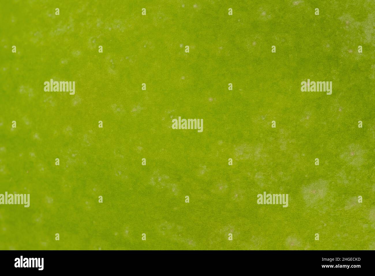 Apple Texture Seamless