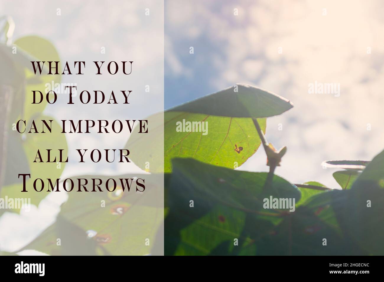 Motivational quote on blue sky background with clouds - What you do ...