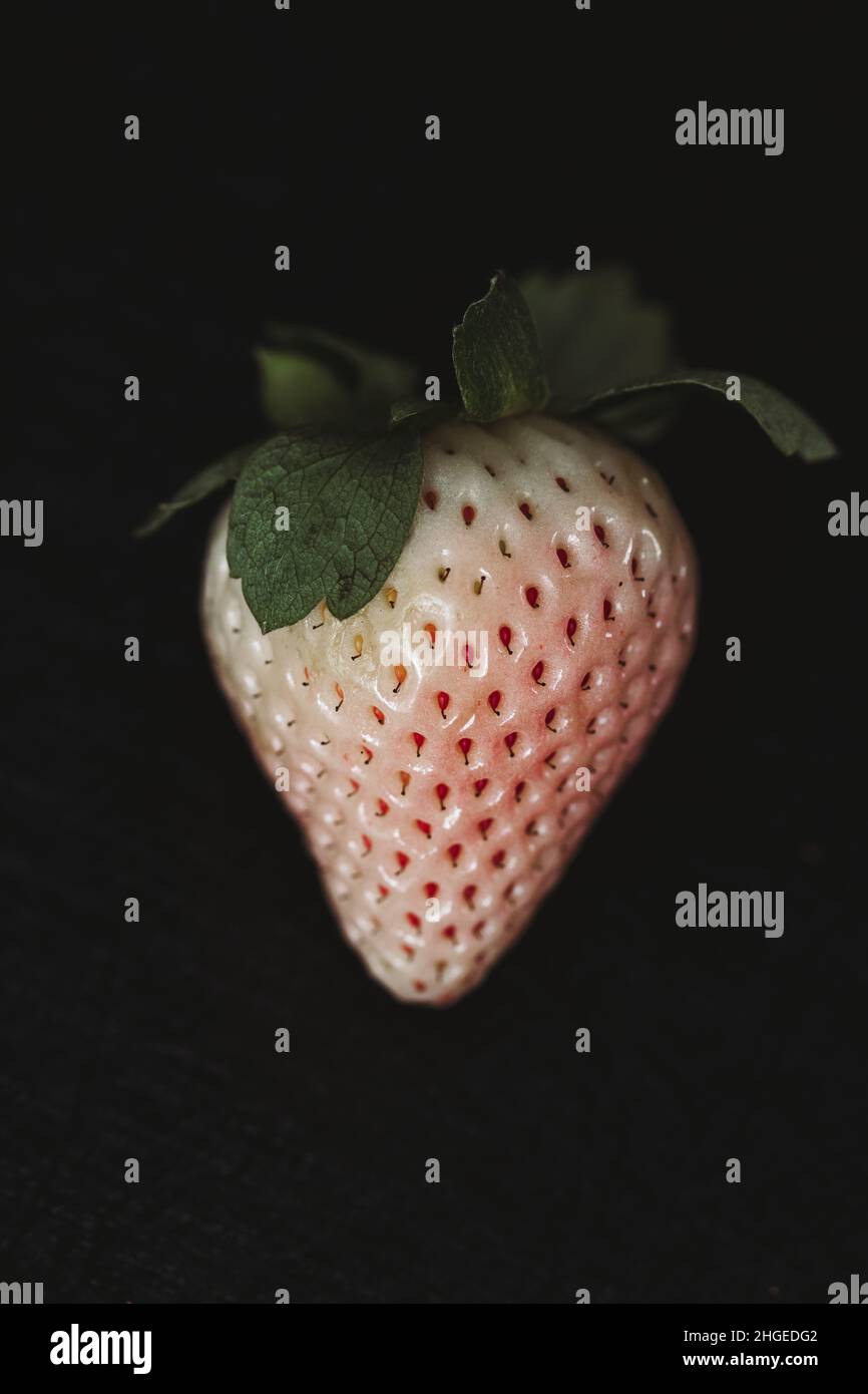 Pineberry White Dream