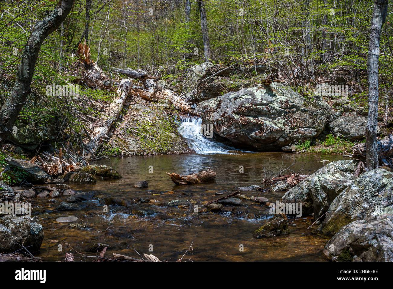 Beautiful small waterfall and pool in the mountains Stock Photo - Alamy