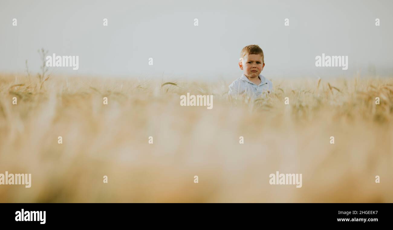 Scared little boy in the summer field Stock Photo - Alamy