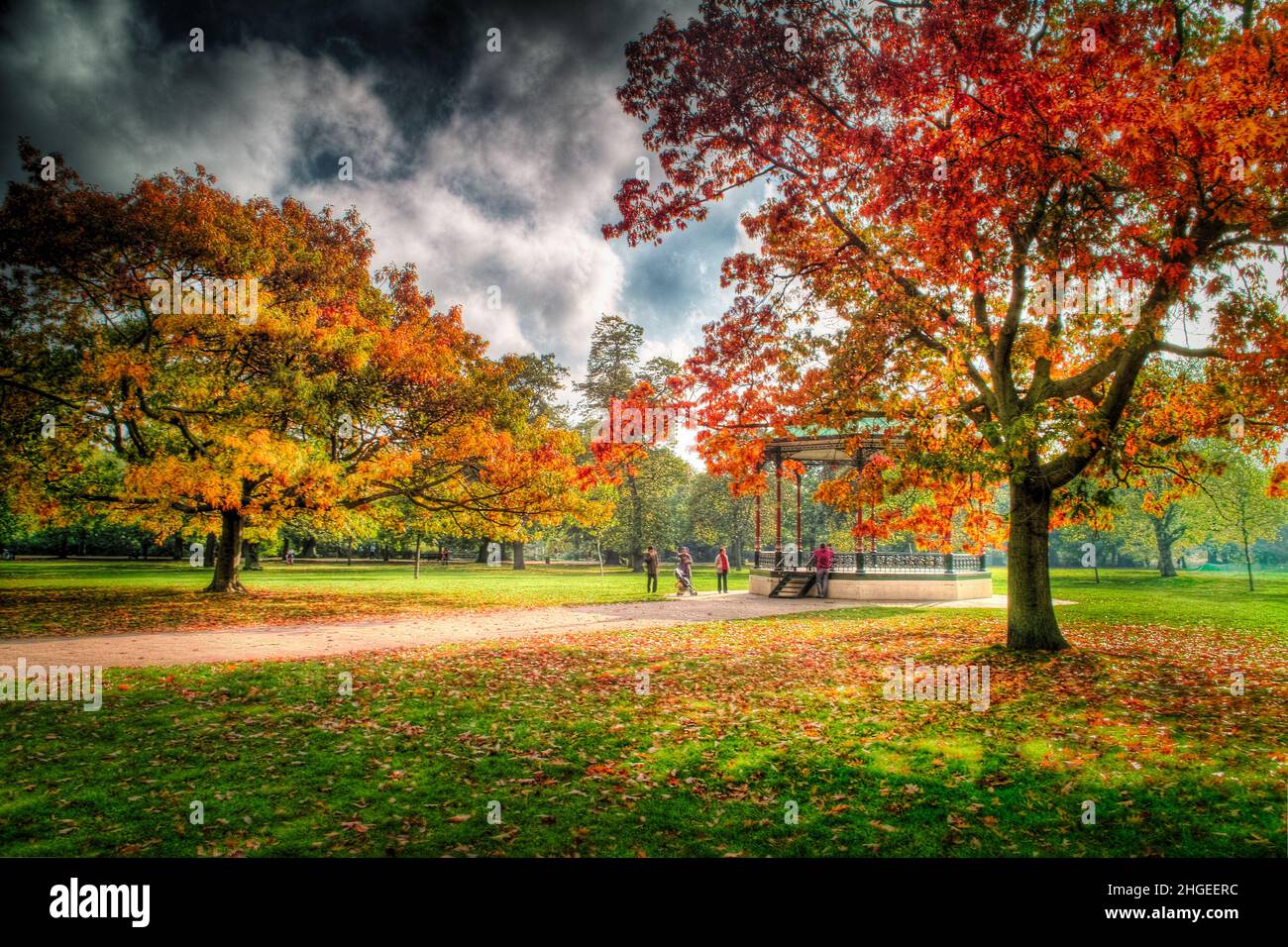 Hdr trees hi-res stock photography and images - Alamy
