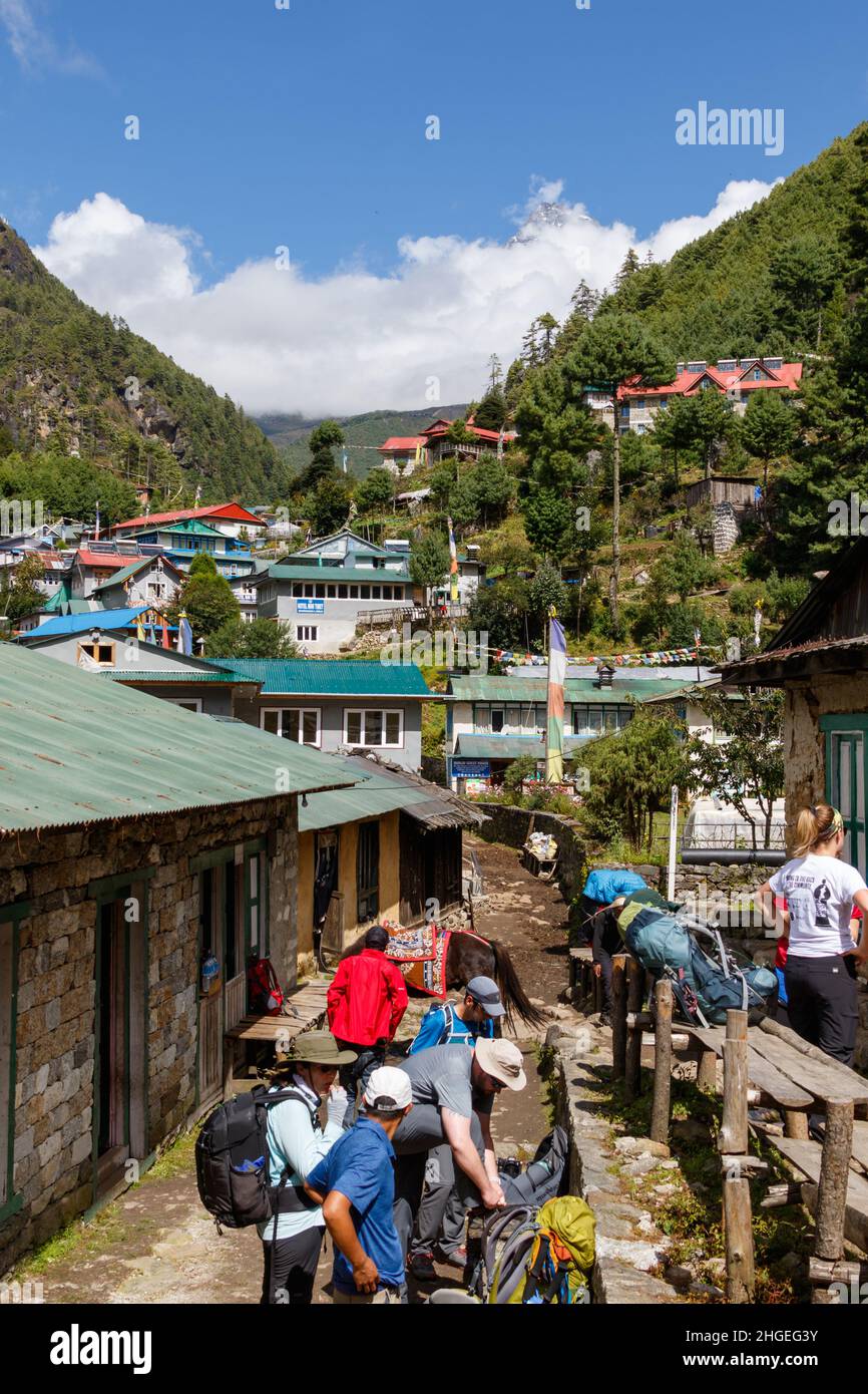 Manjo tree hi-res stock photography and images - Alamy