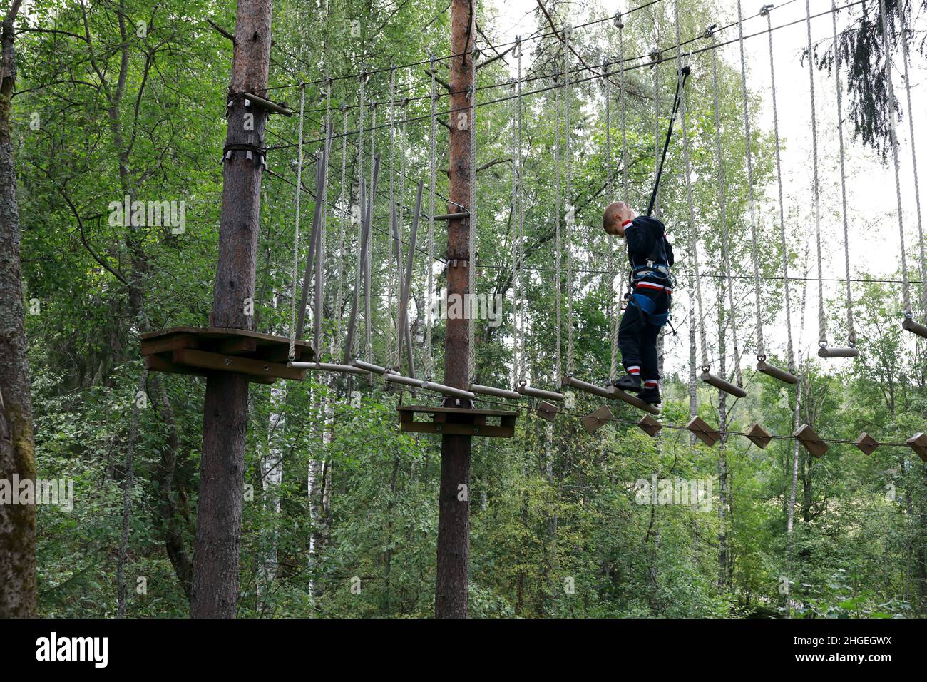 Kid passing obstacle course in forest, Karelia Stock Photo - Alamy