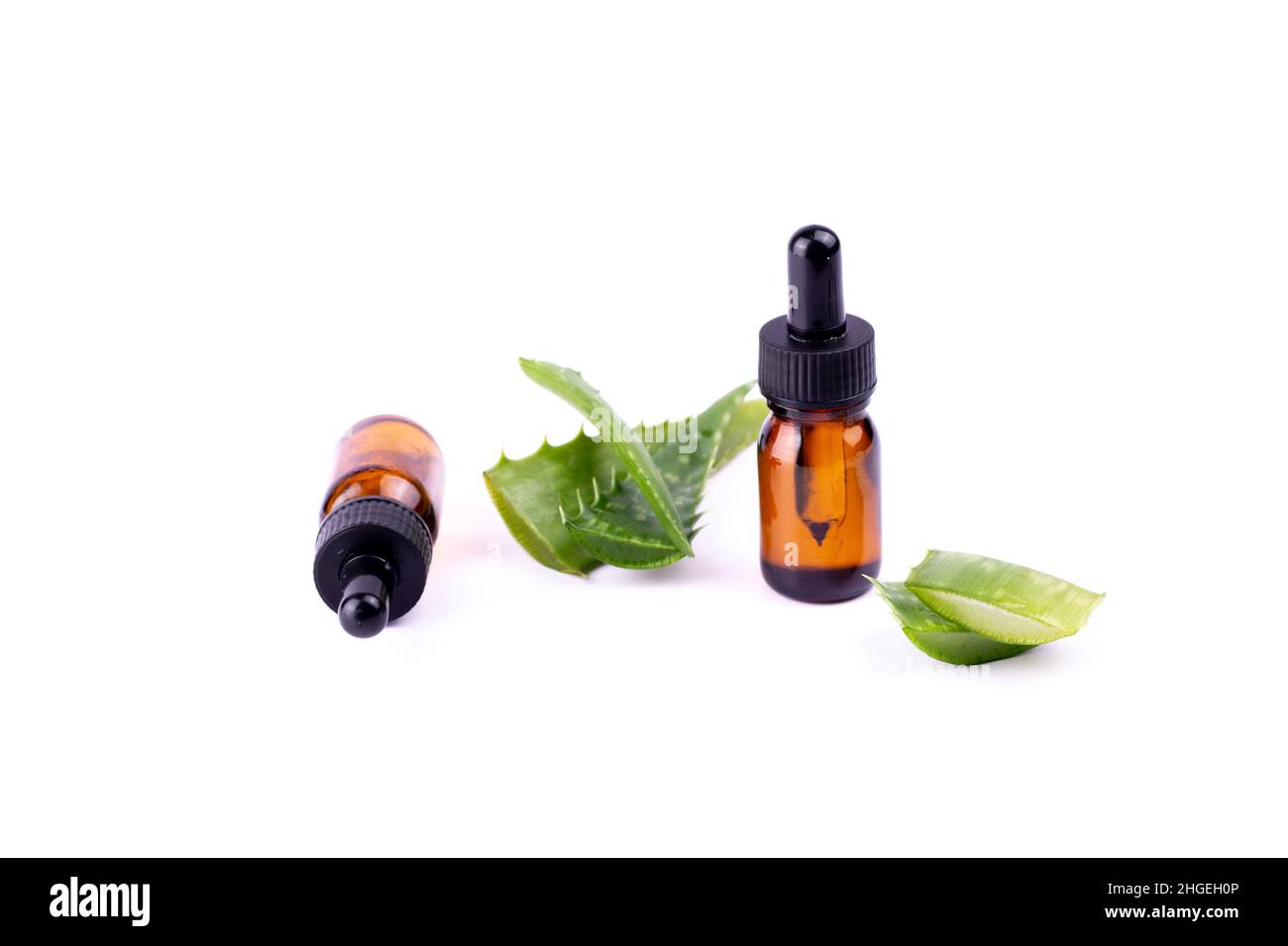 Aloe Vera essential oil extract with Aloe Vera leaf and sliced isolated ...