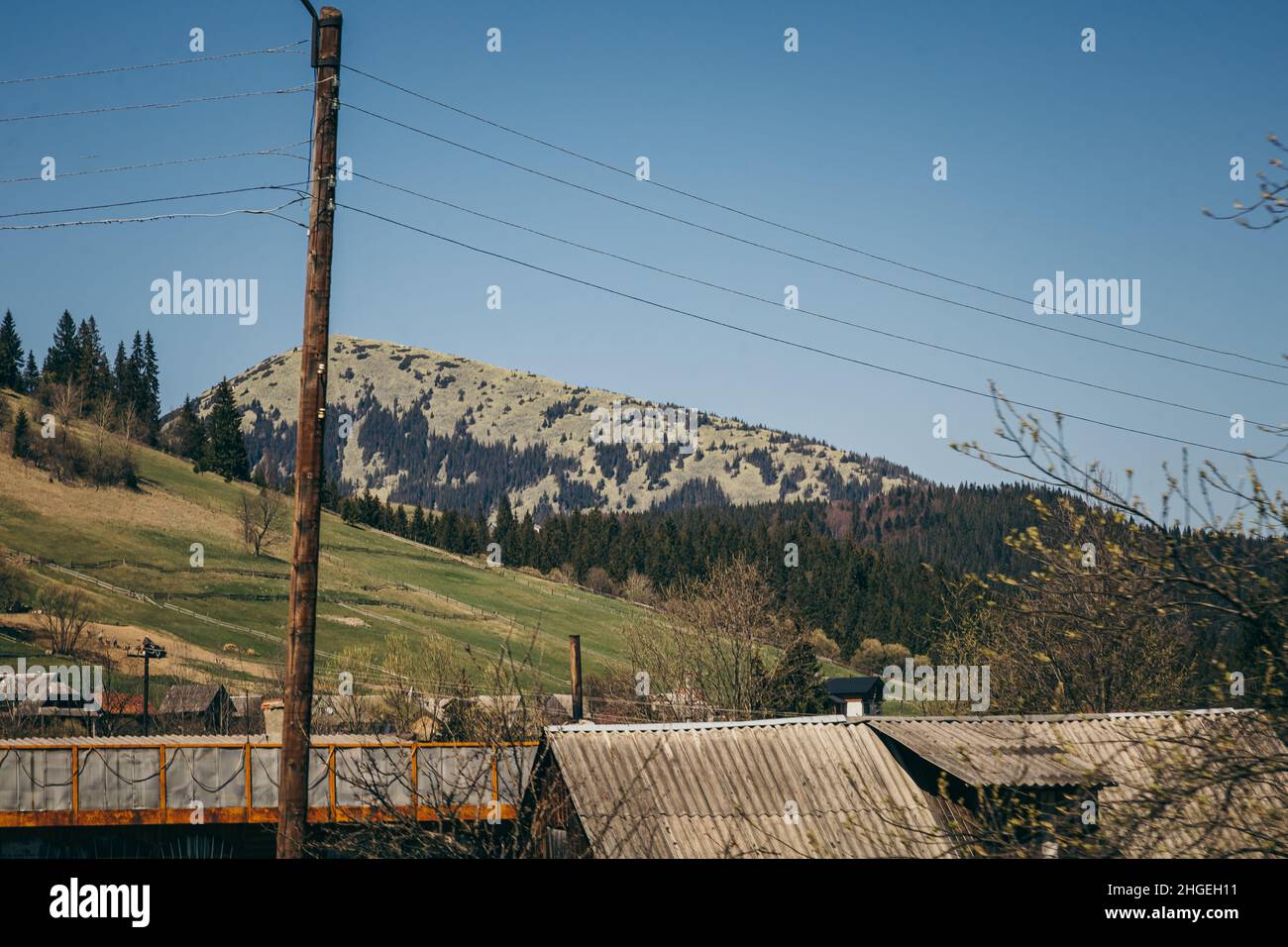Stone mountain, spruce forest and electric pole Stock Photo - Alamy