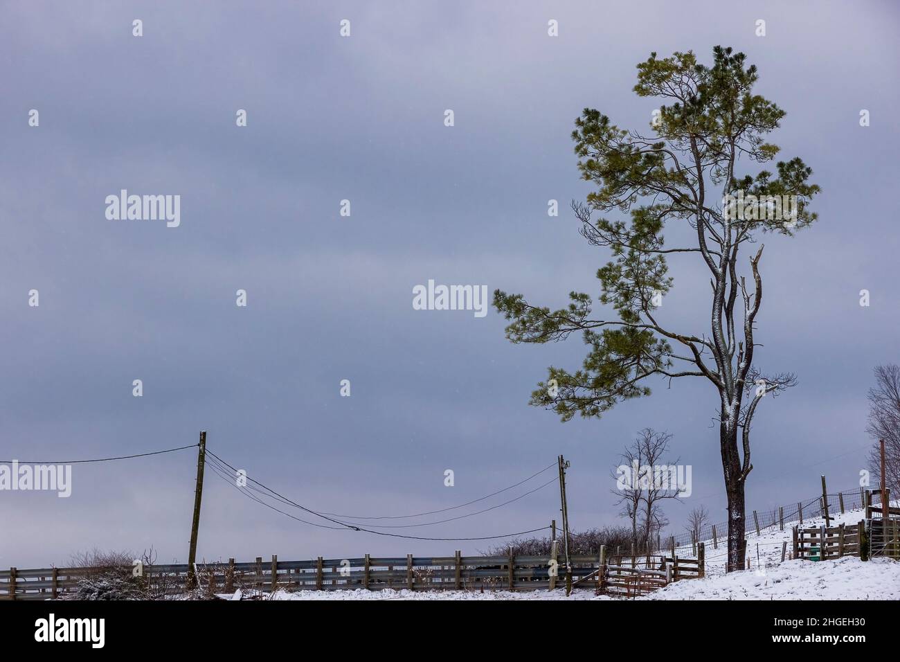 Winter landscape in rural Tennessee offer copy space and great ...