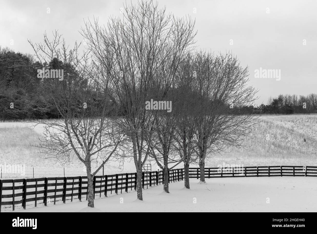 Winter landscape in rural Tennessee offer copy space and great ...