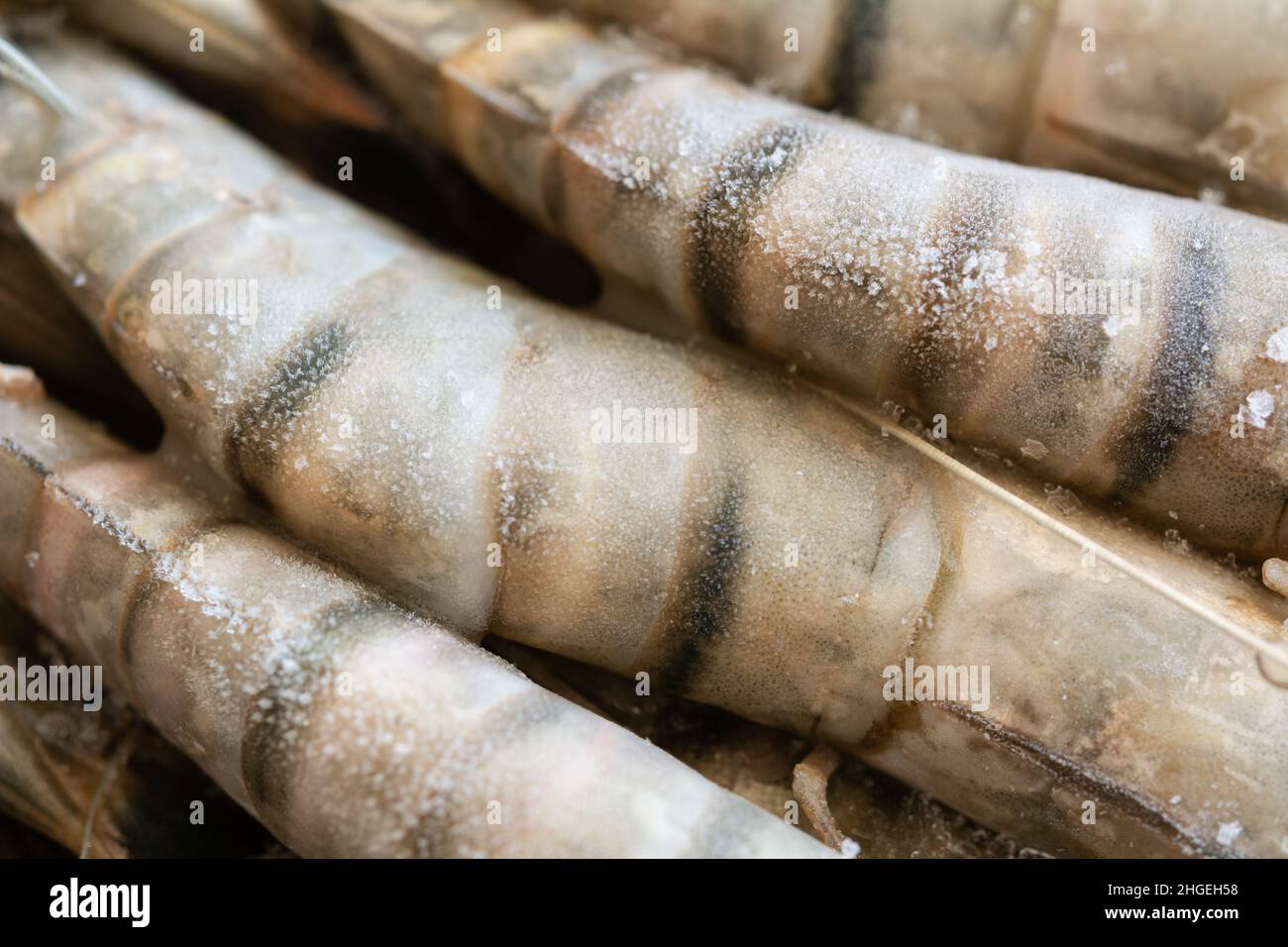 Tiger chrimp. Unpeeled frozen tiger prawns, close-up, selective focus, shallow depth of field ...