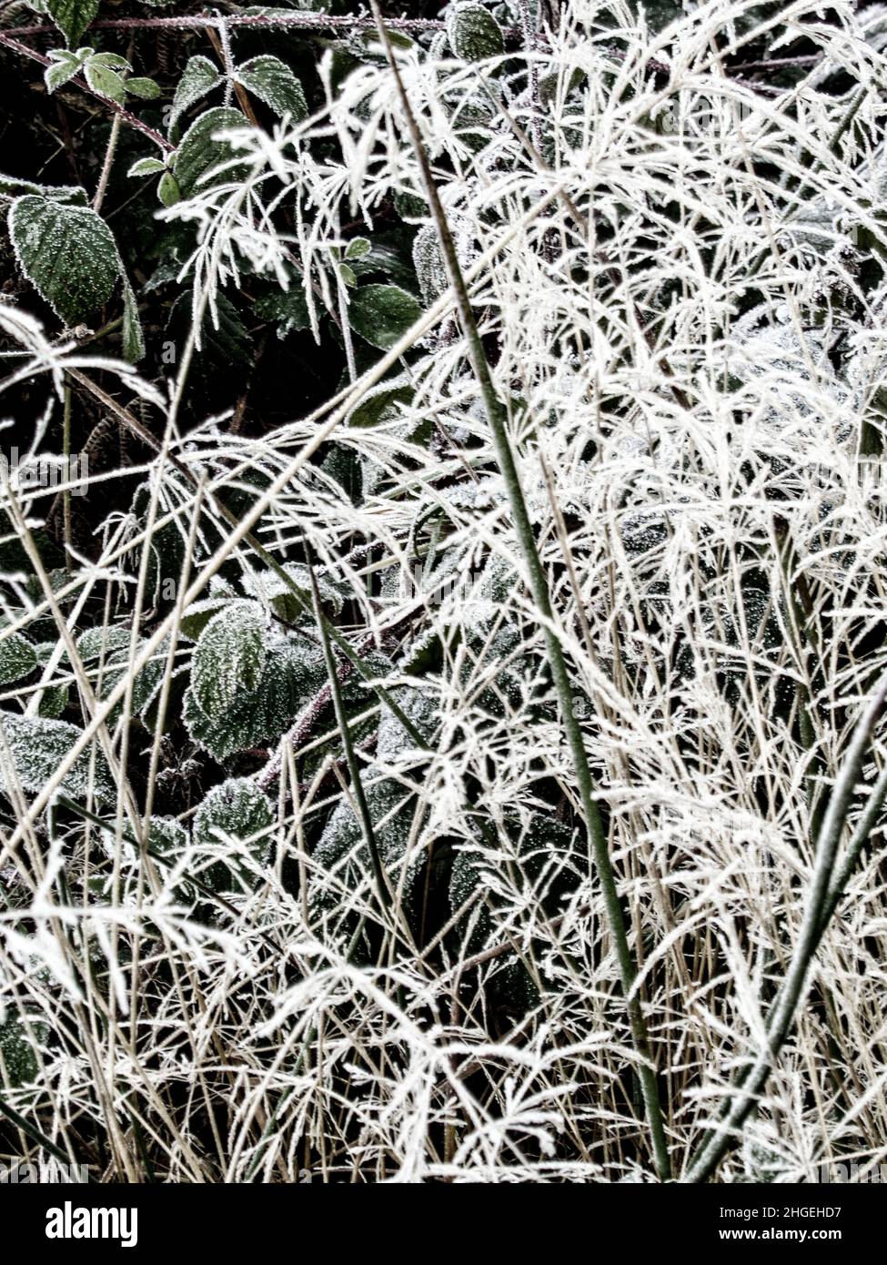 Choas, abstract patterns and textures in nature and the environment ...