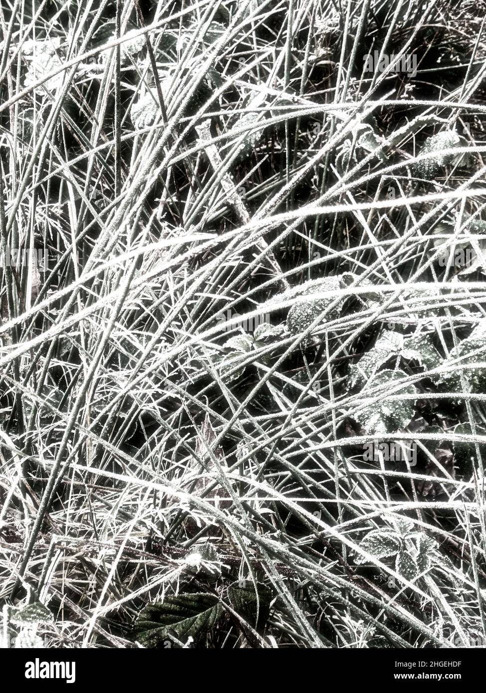 Choas, abstract patterns and textures in nature and the environment ...