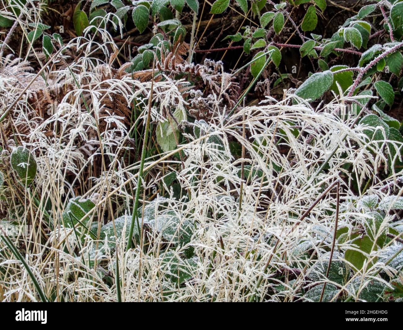 Choas, abstract patterns and textures in nature and the environment ...
