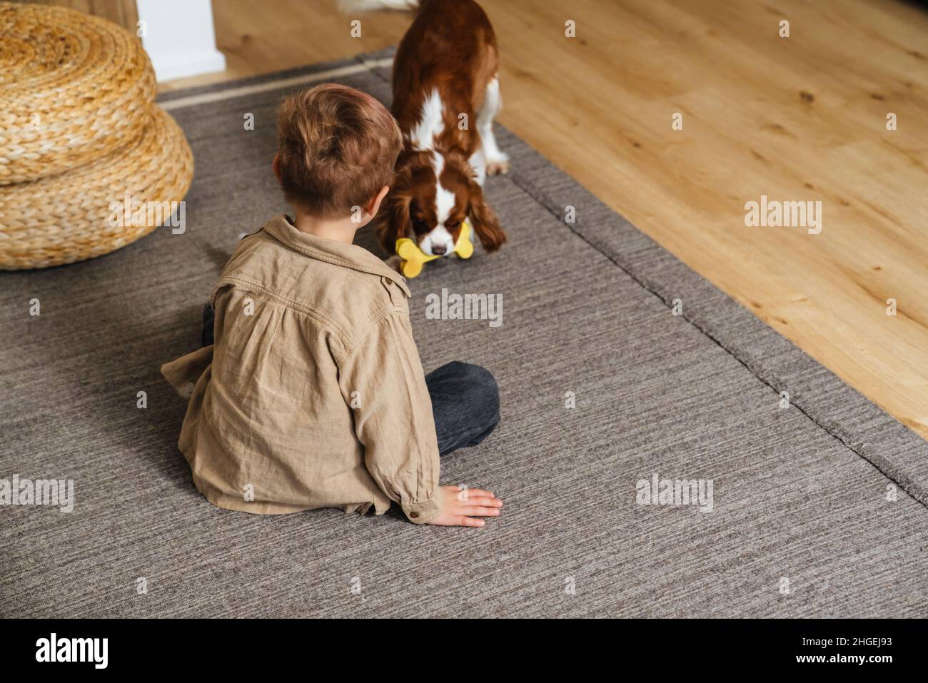 Happy little kid playing with his dog at home on a floor Stock Photo ...