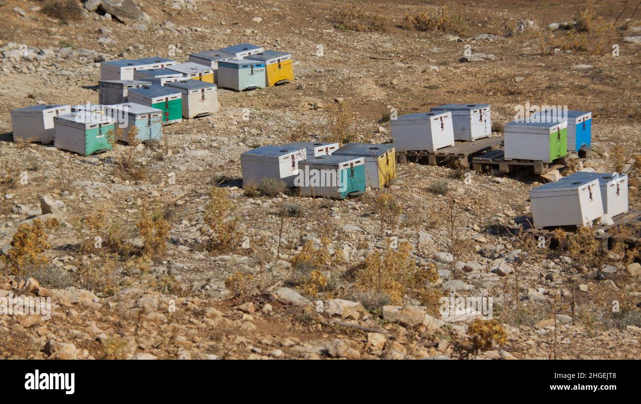 Lappa crete hi-res stock photography and images - Alamy