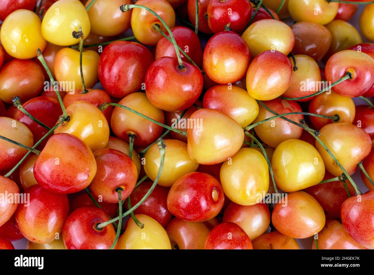 Ripe sweet yellow rainier cherries background Stock Photo - Alamy