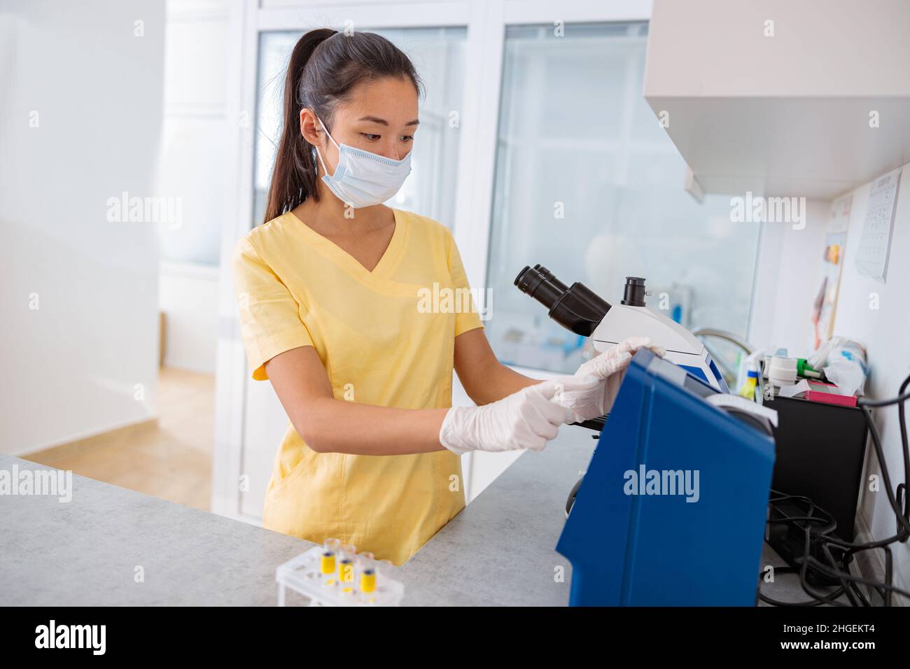 Science veterinarian working with microscope in lab Stock Photo - Alamy