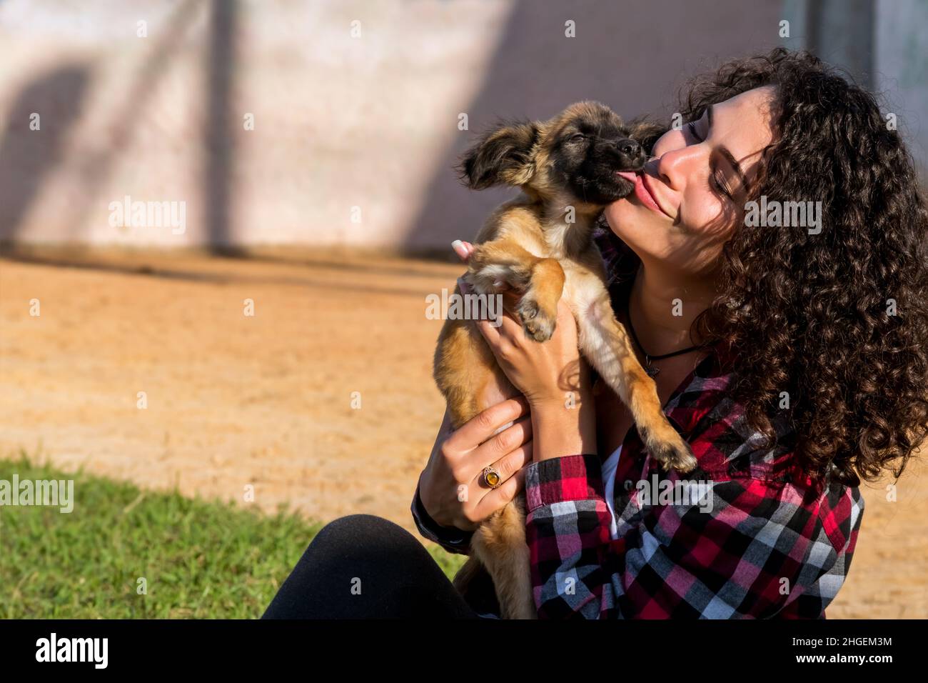 Half Dog Half Human Face