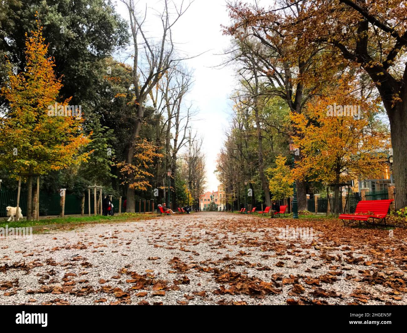 Autumn view in a park of Venice, Italy Stock Photo - Alamy
