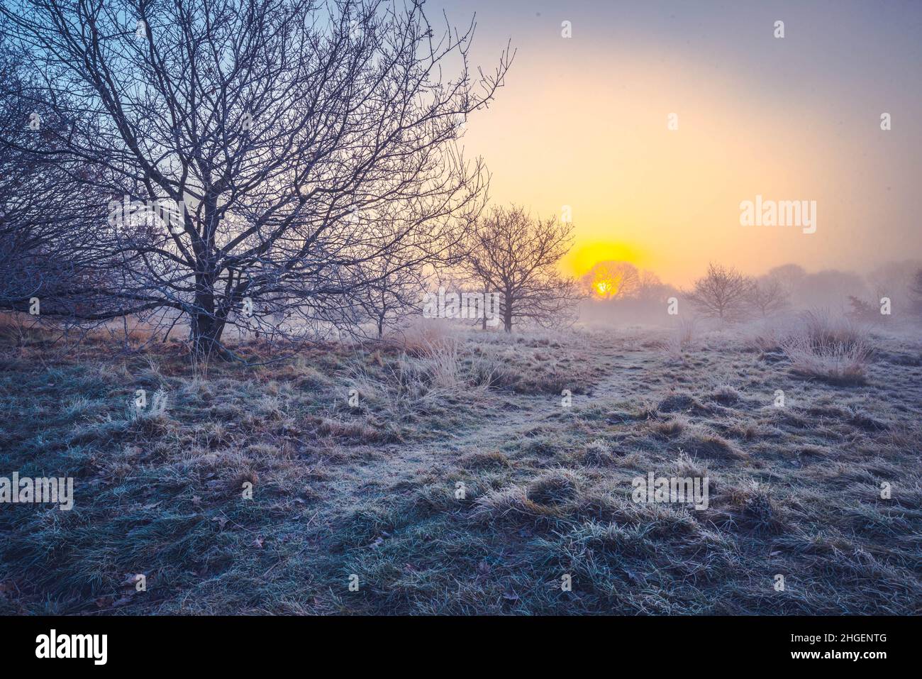 A wintery landscape in the United Kingdom at sunrise Stock Photo - Alamy