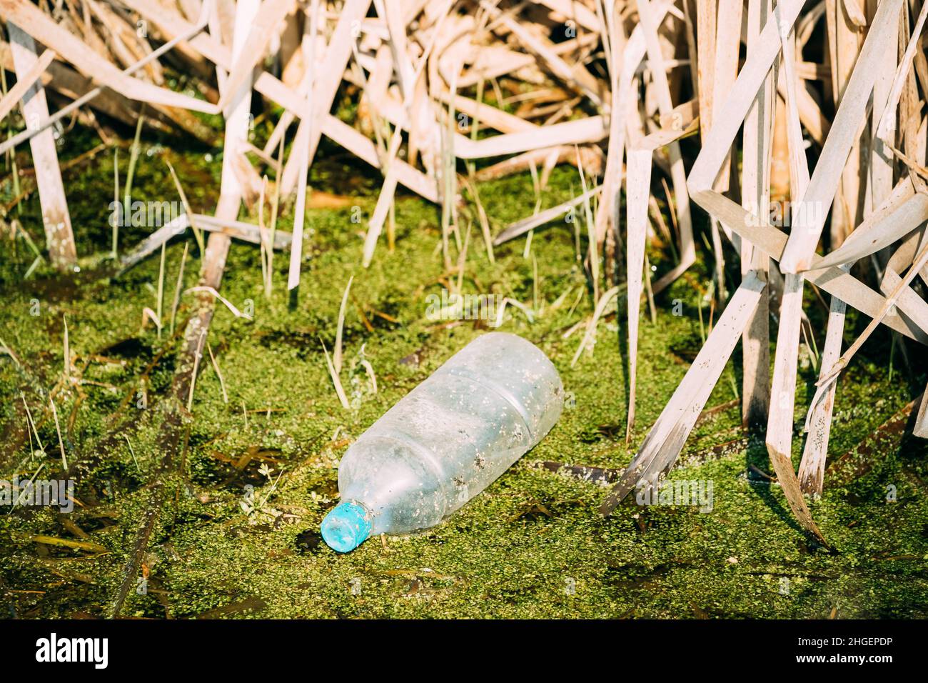 Old Plastic Bottle Floats In Water Of Swamp Or Bog. Used Empty Bottle ...