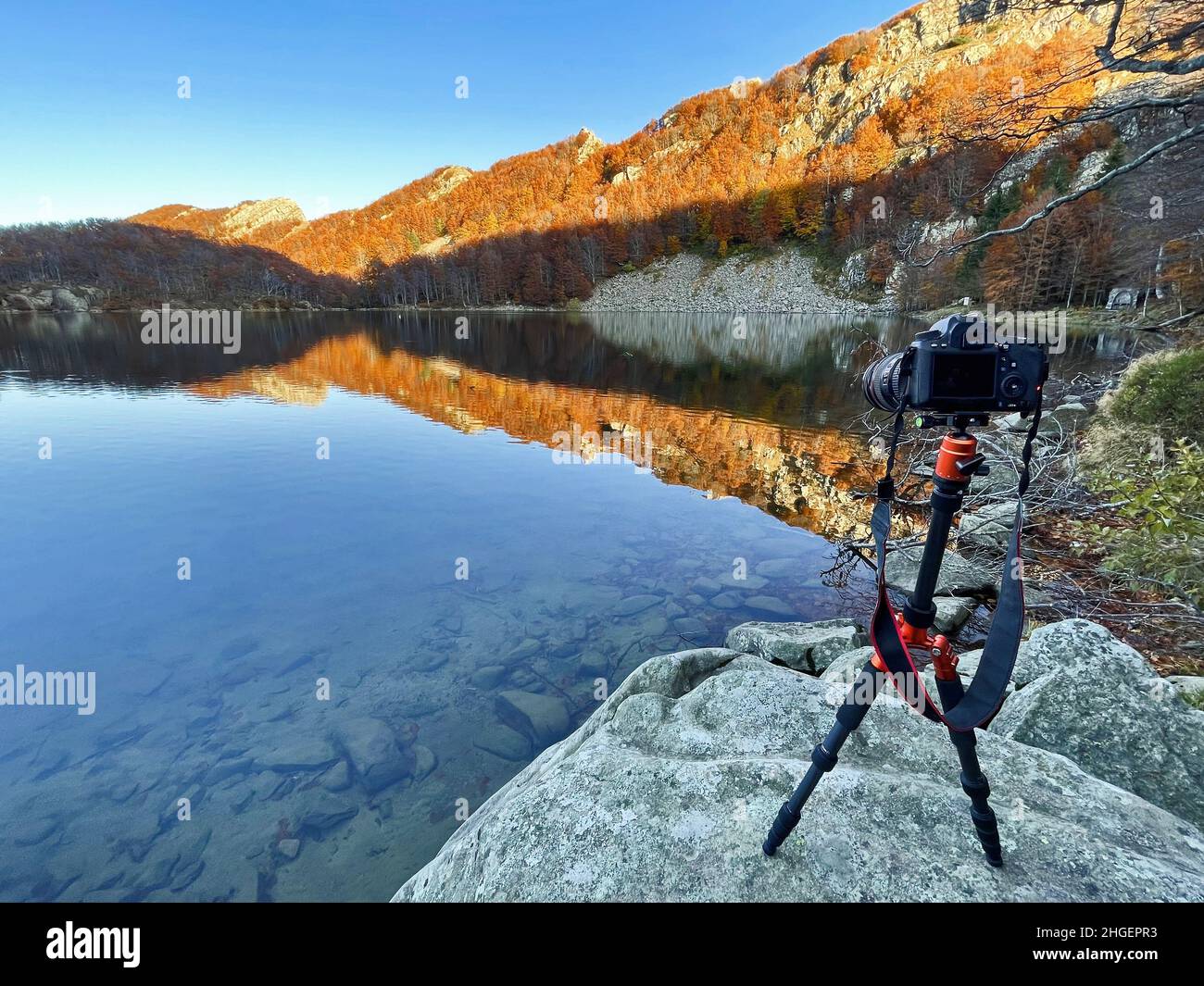 Taking photos at sunset during foliage with professional camera Stock ...