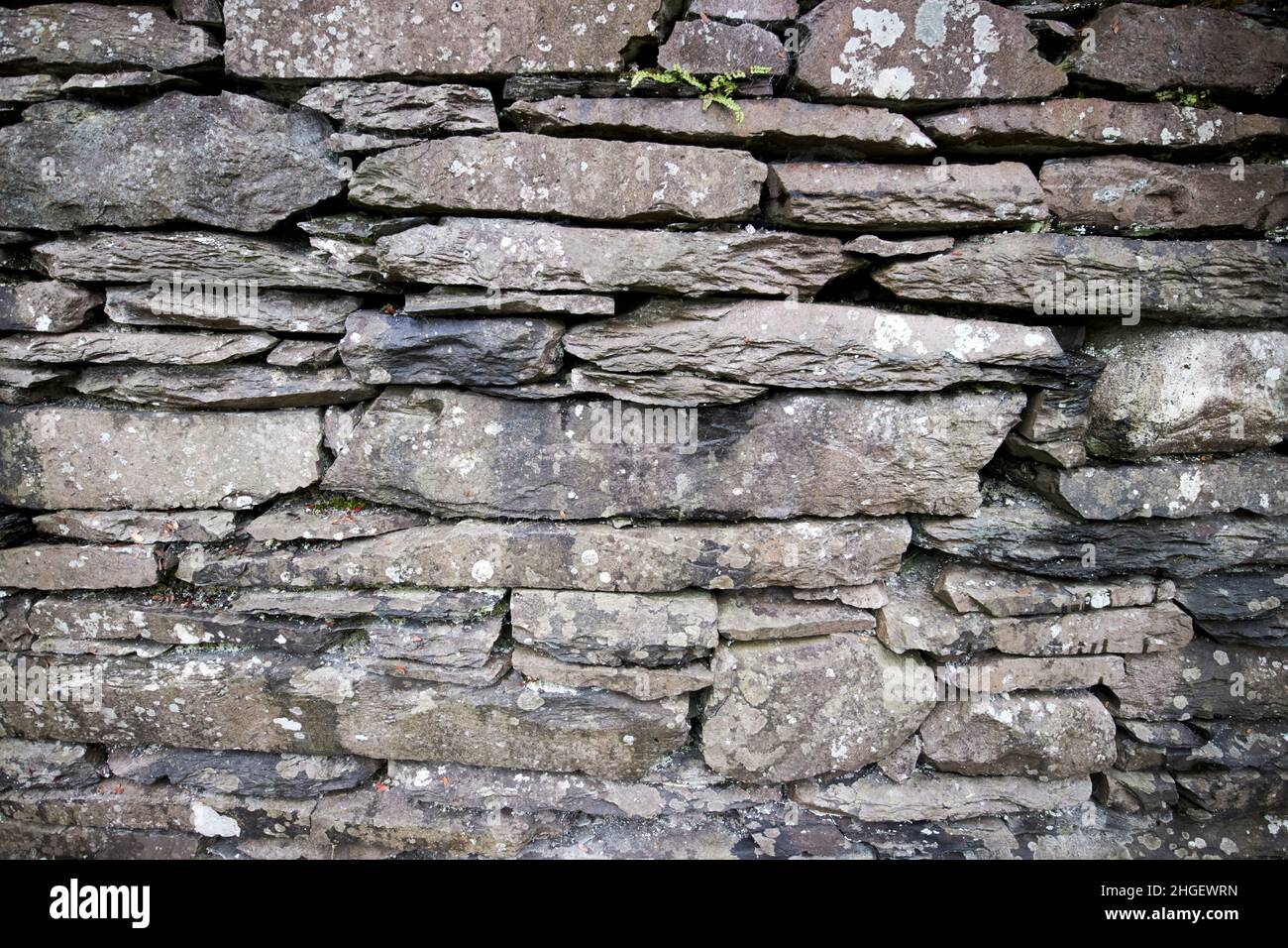 slate and granite layered dry stone wall with throughstones visiible ...