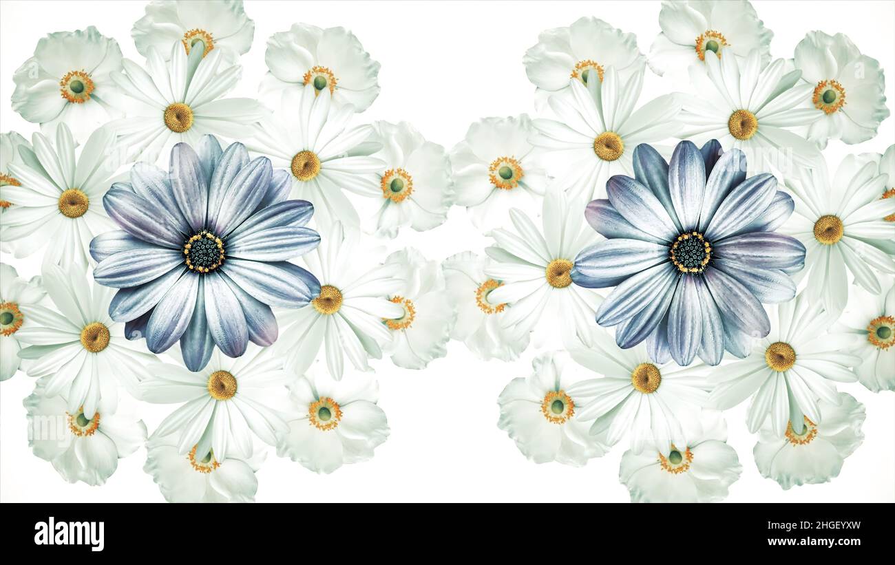 Animation flying of realistic flowers buds on black background ...