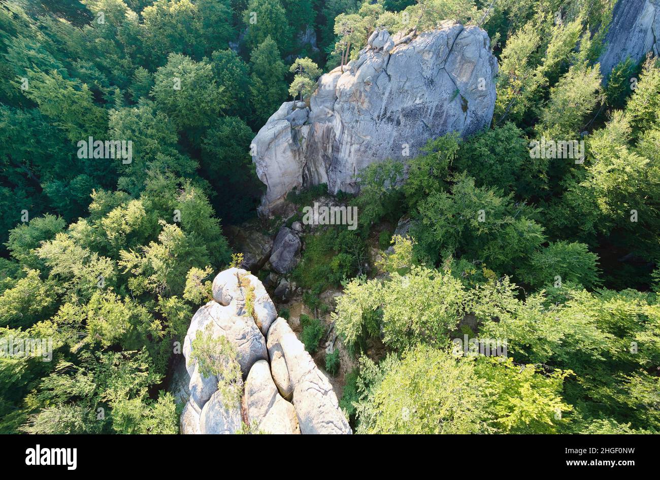 Aerial view of bright landscape with green forest trees and big rocky ...