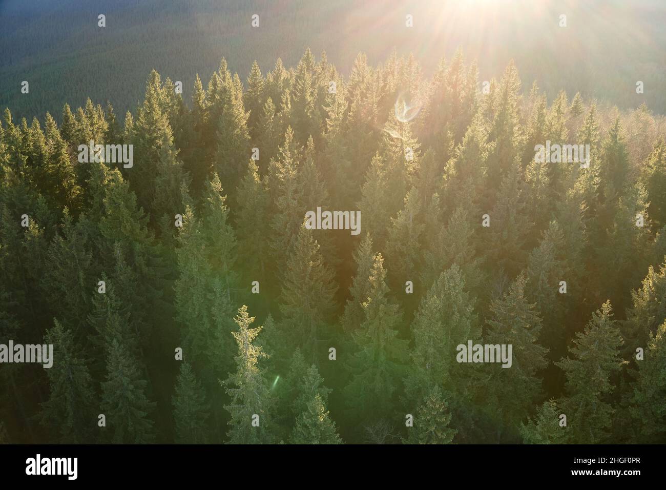 Aerial view of brightly illuminated with sunlight beams foggy dark ...