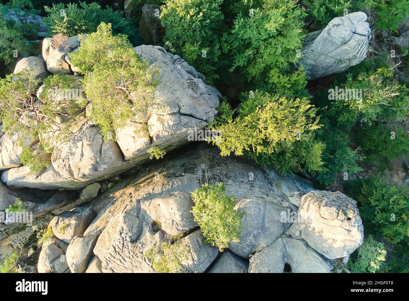Aerial view of bright landscape with green forest trees and big rocky ...