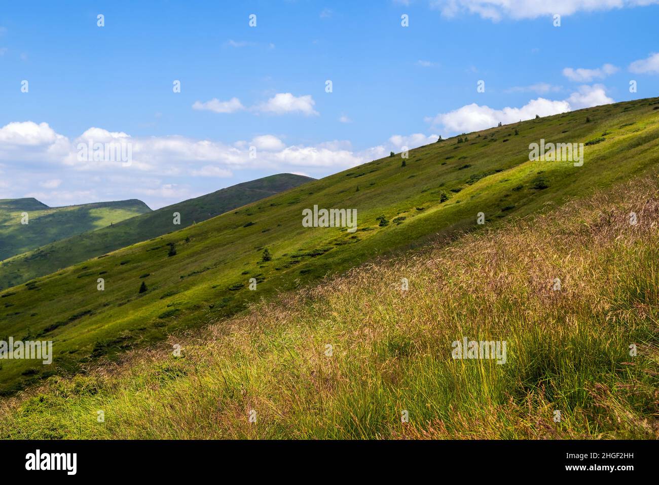 Bright landscape with grassy green meadow and distant mountain hills in ...