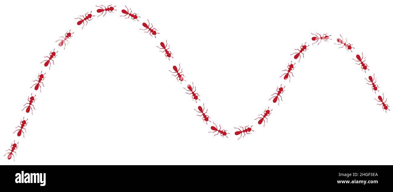 Worker ants trail curve. Red ant path isolated in white background. Vector illustration Stock ...