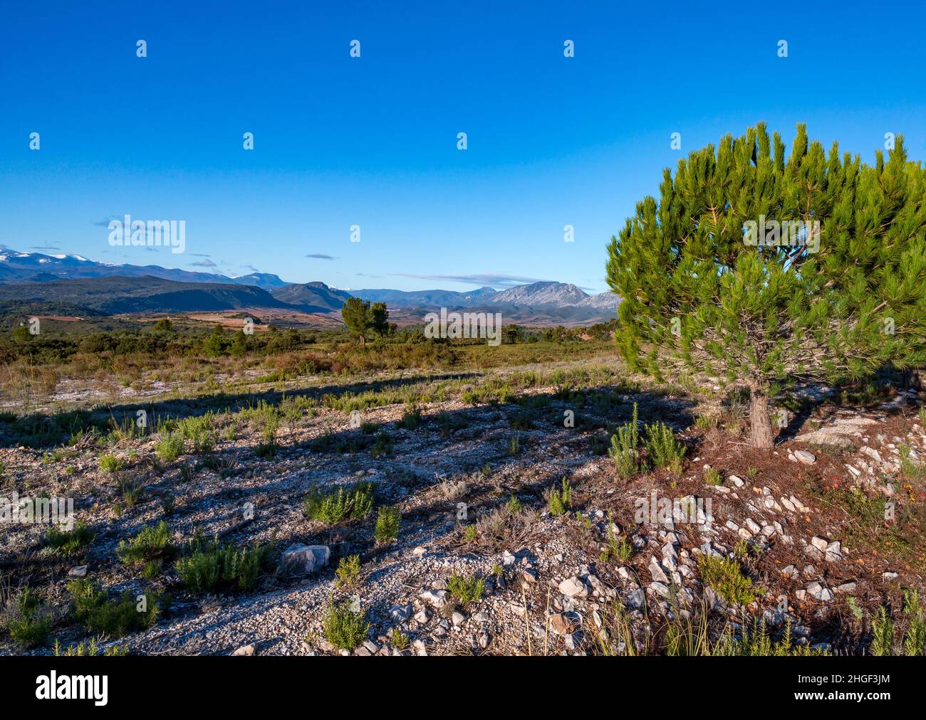 Parc regional naturel corbieres fenouilledes hi-res stock photography ...