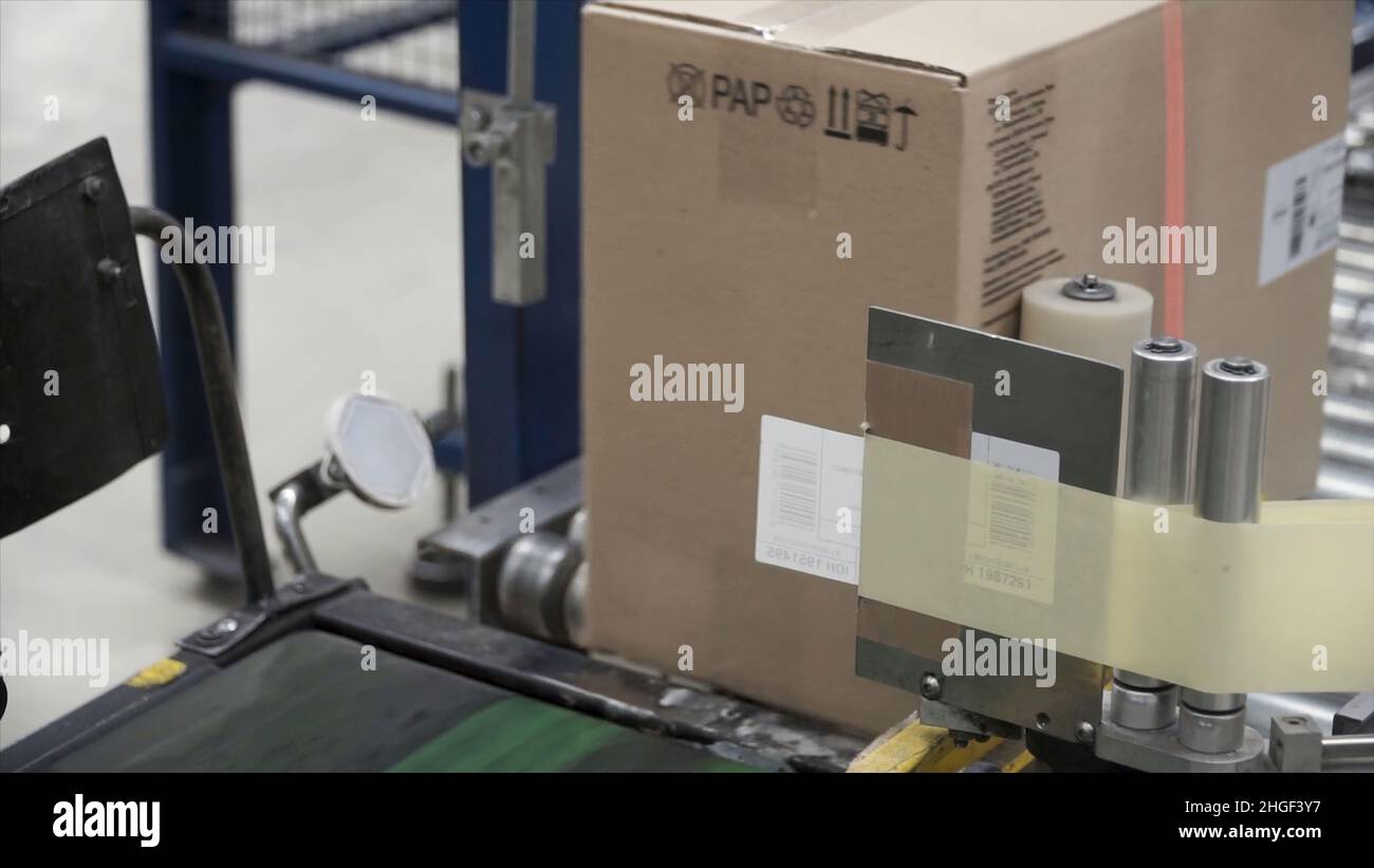 Cardboard manufacture machine propduct line making boxes. Clip. Packed ...