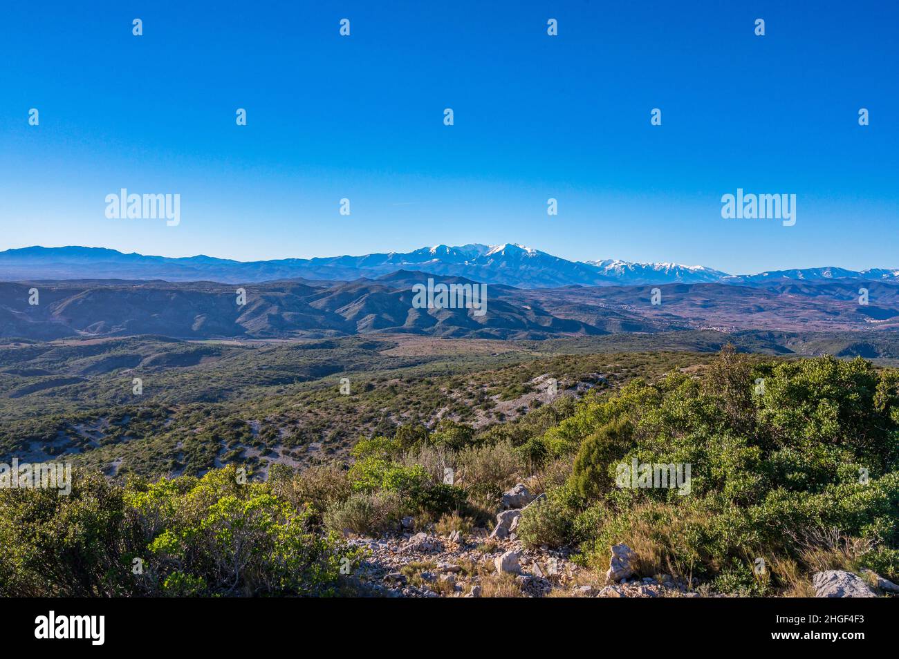 Plant of mediterranean garrigue hi-res stock photography and images - Alamy