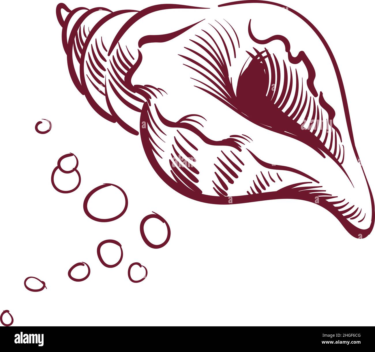 Seashell sketch. Ink line style mollusk conch. Shellfish symbol Stock ...