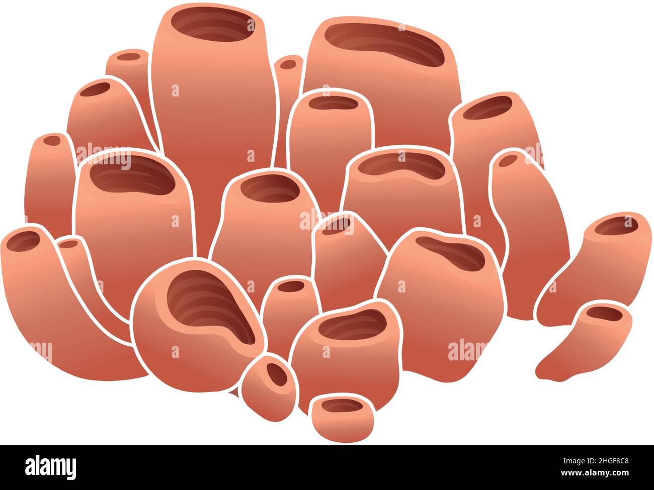 Red coral branch Stock Vector Images - Alamy