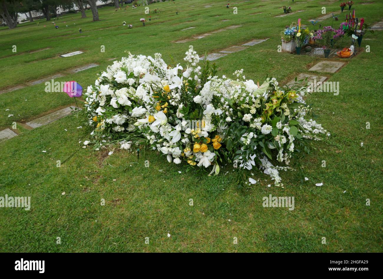 Los Angeles, California, USA 19th January 2022 Actor/comedian Bob Saget's Grave in Gardens of ...