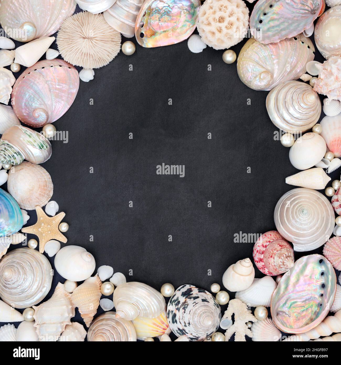 Beautiful seashell and pearl background border with large variety of ...