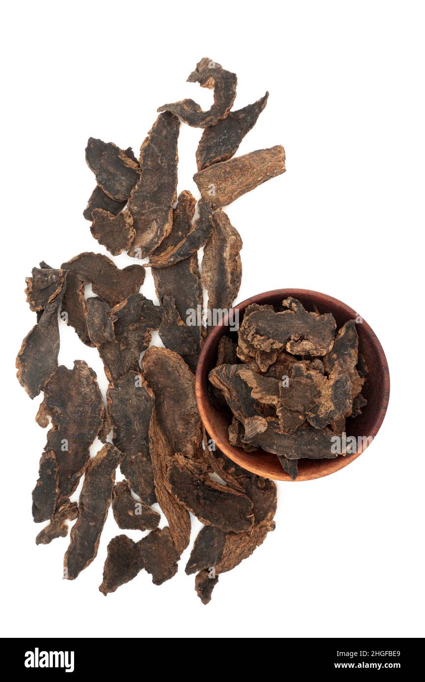 Scrophularia figwort root herb used in traditional Chinese herbal plant ...